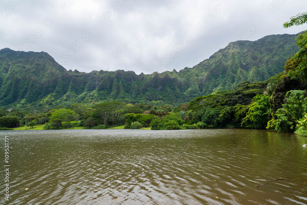 The Hawaiian rain forest of botanical gardens on the tropical island ...