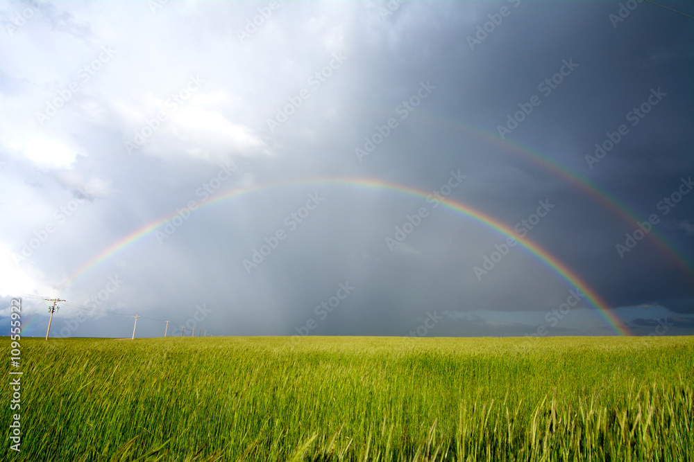 Double rainbow created by storm over wheatfield, Vona, Colorado, USA ...