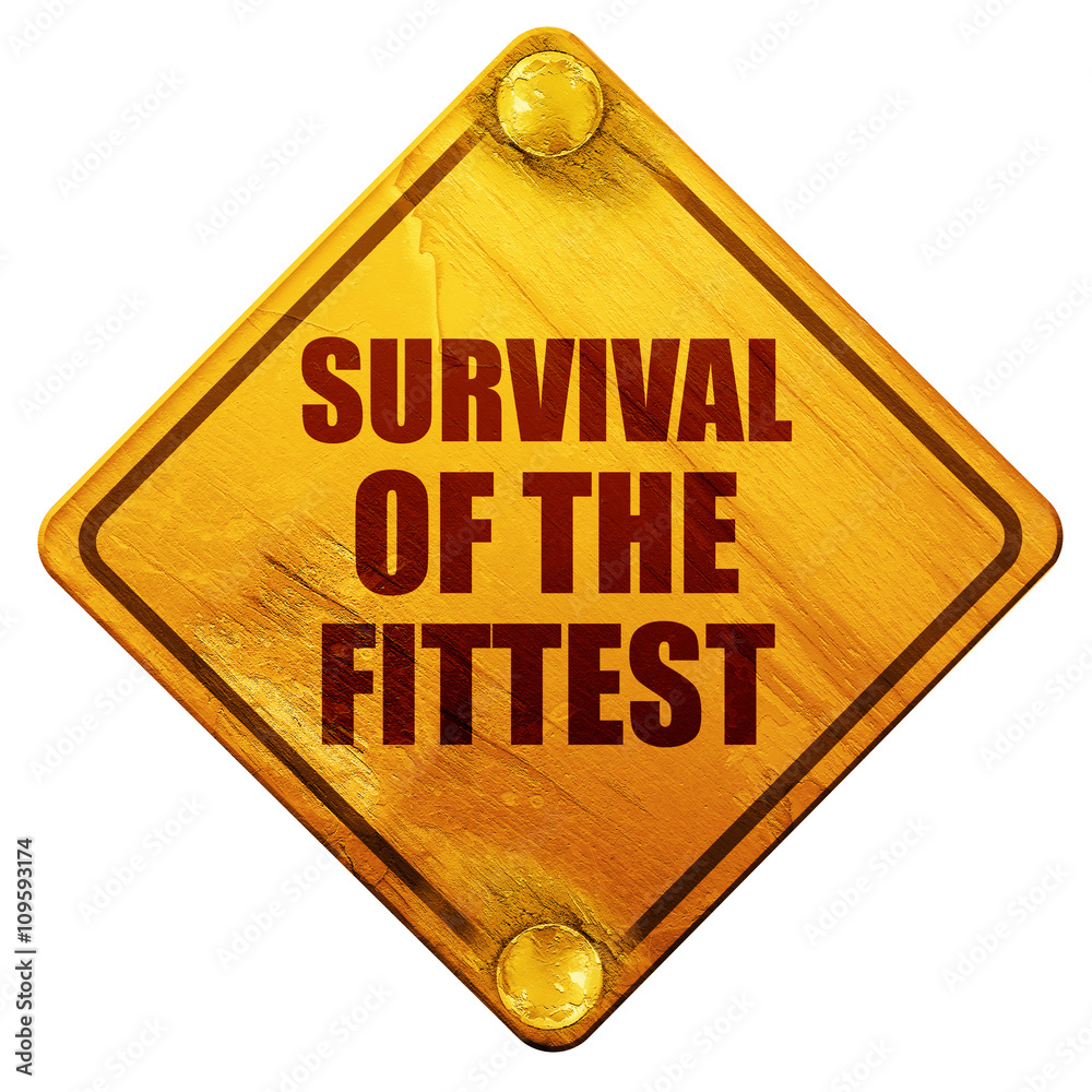 Survival Of The Fittest