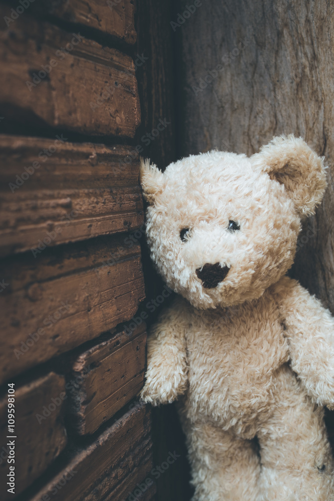 teddy bear adventure, selective focus Stock Photo | Adobe Stock
