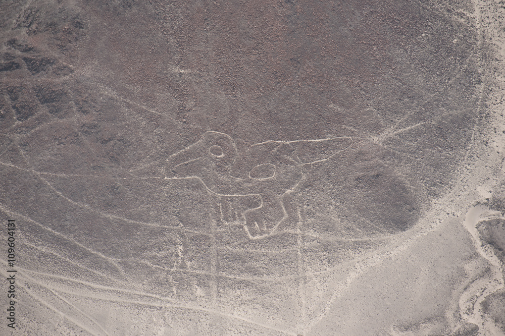 Nasca line of The Dinosur Geoglyph, Nazca, Peru Stock Photo | Adobe Stock