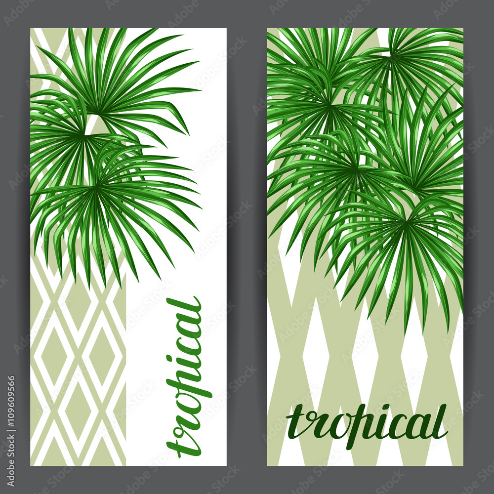 Banners with palms leaves. Decorative image tropical leaf of palm tree ...