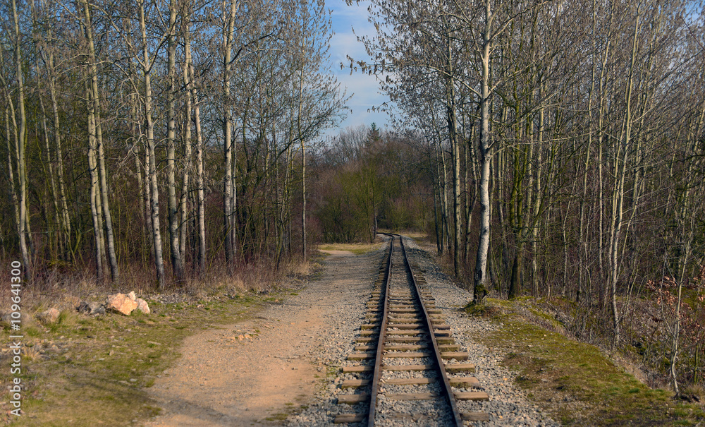 Narrow gauge railway Stock Photo | Adobe Stock