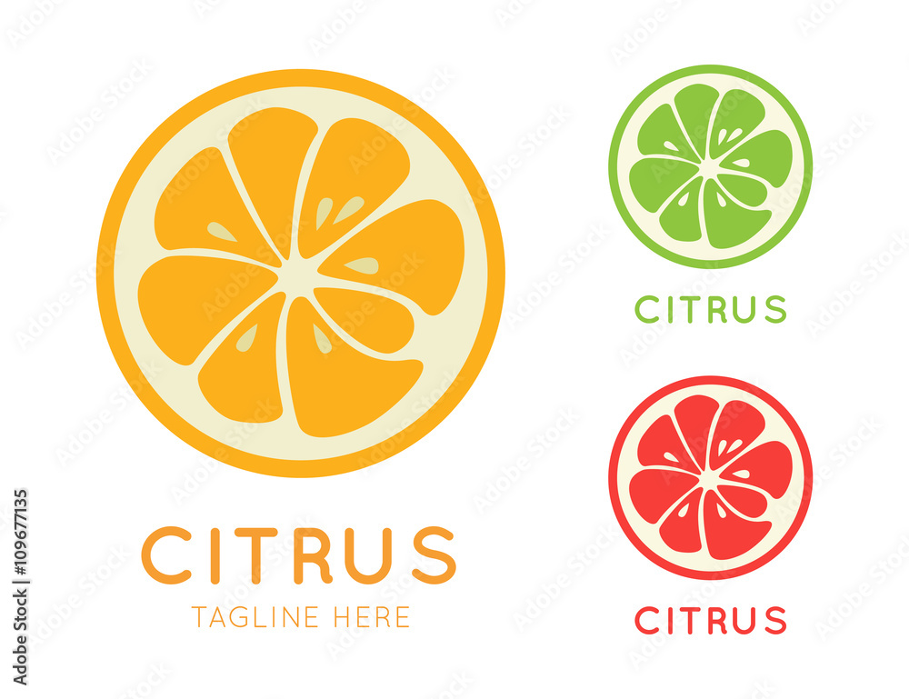 Kinds of citrus stylish icon. Juicy fruit logo Stock Illustration ...