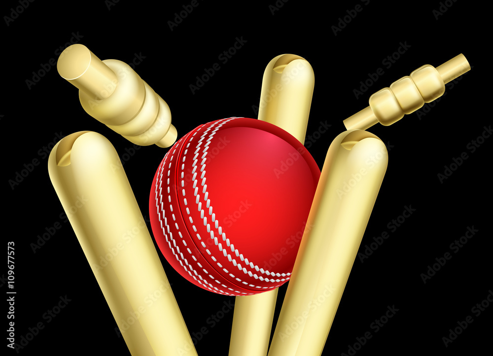 Cricket Ball Breaking Wicket Stumps Stock Vector | Adobe Stock