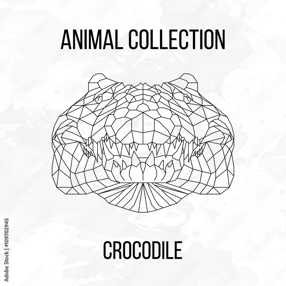 Crocodile head geometric lines silhouette isolated on white background ...