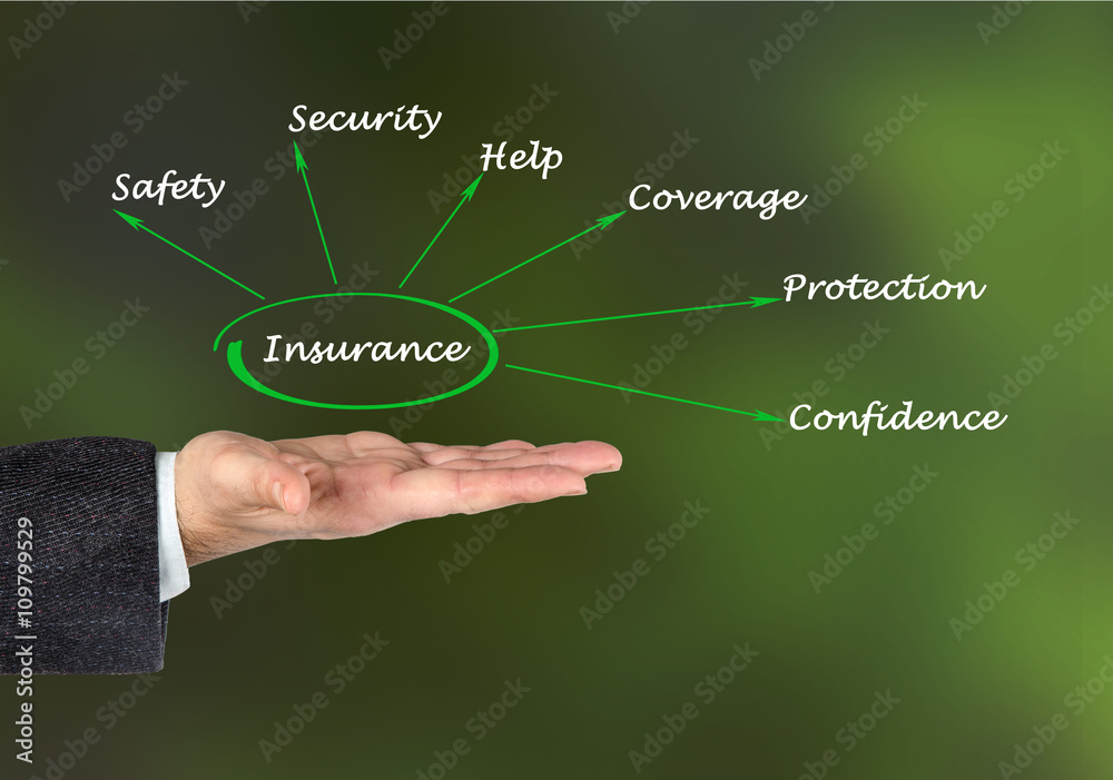 Diagram of insurance Stock Photo | Adobe Stock