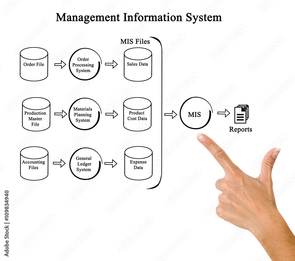 Diagram of Management Information System Stock Photo | Adobe Stock
