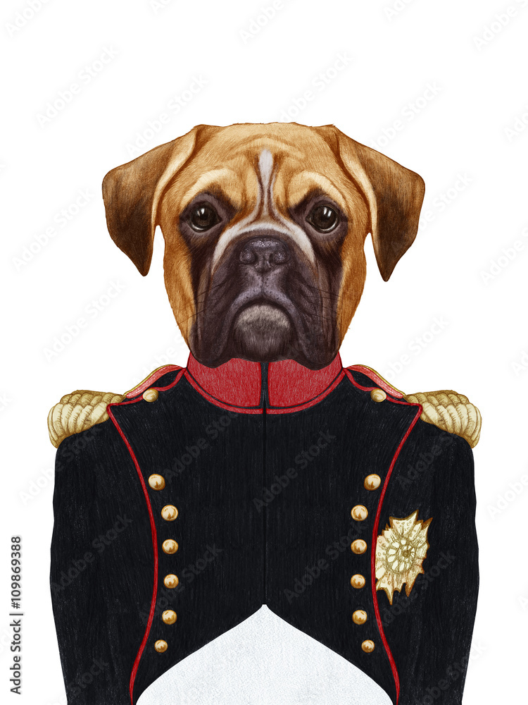 Portrait of Boxer Dog in military uniform. Hand-drawn illustration ...