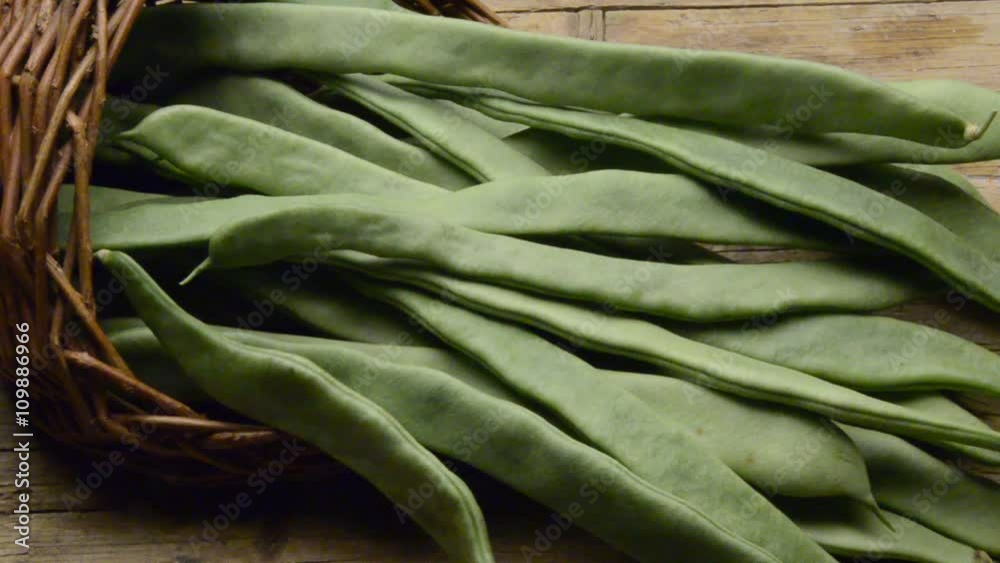 Phaseolus vulgaris שעועית מצויה Fasola zwykła Piattoni green beans ...
