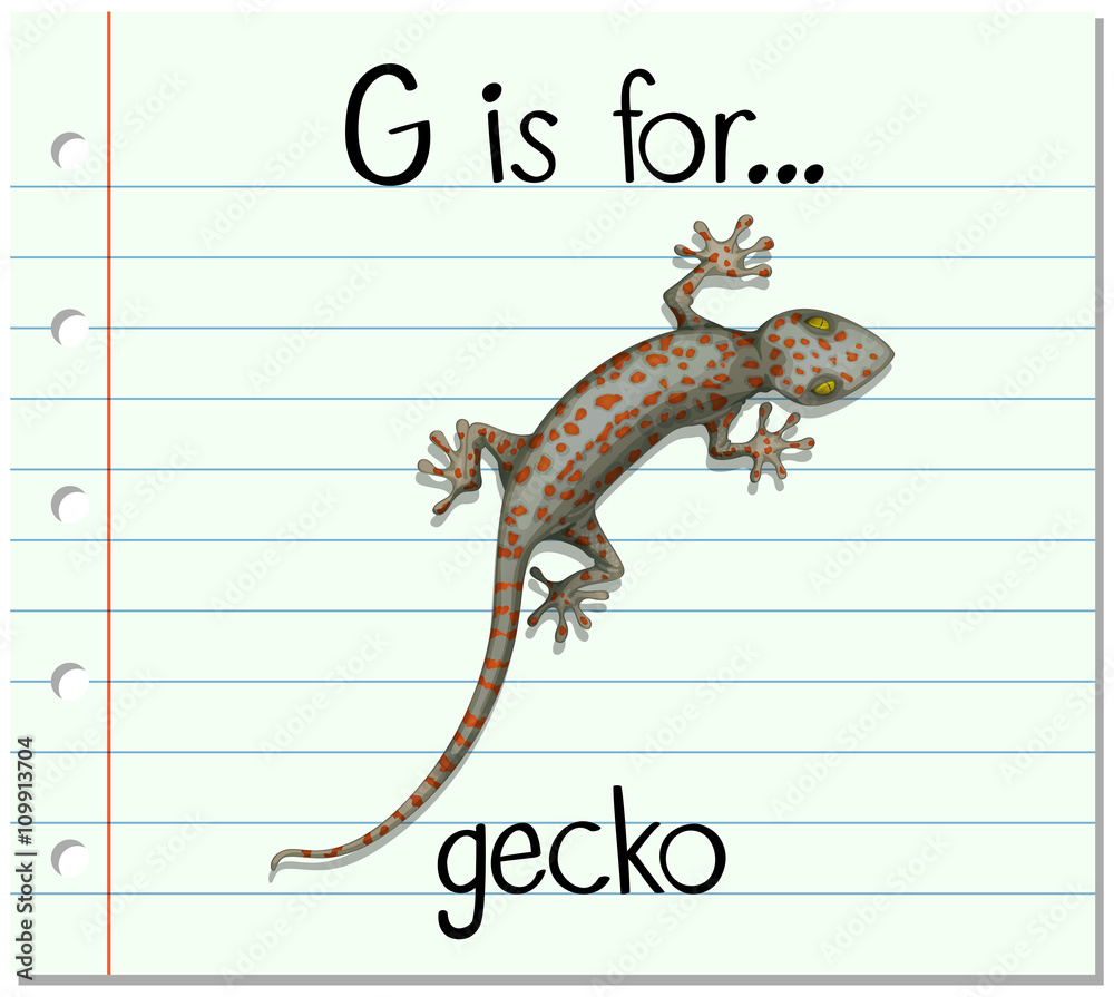 Flashcard letter G is for gecko Stock Vector | Adobe Stock