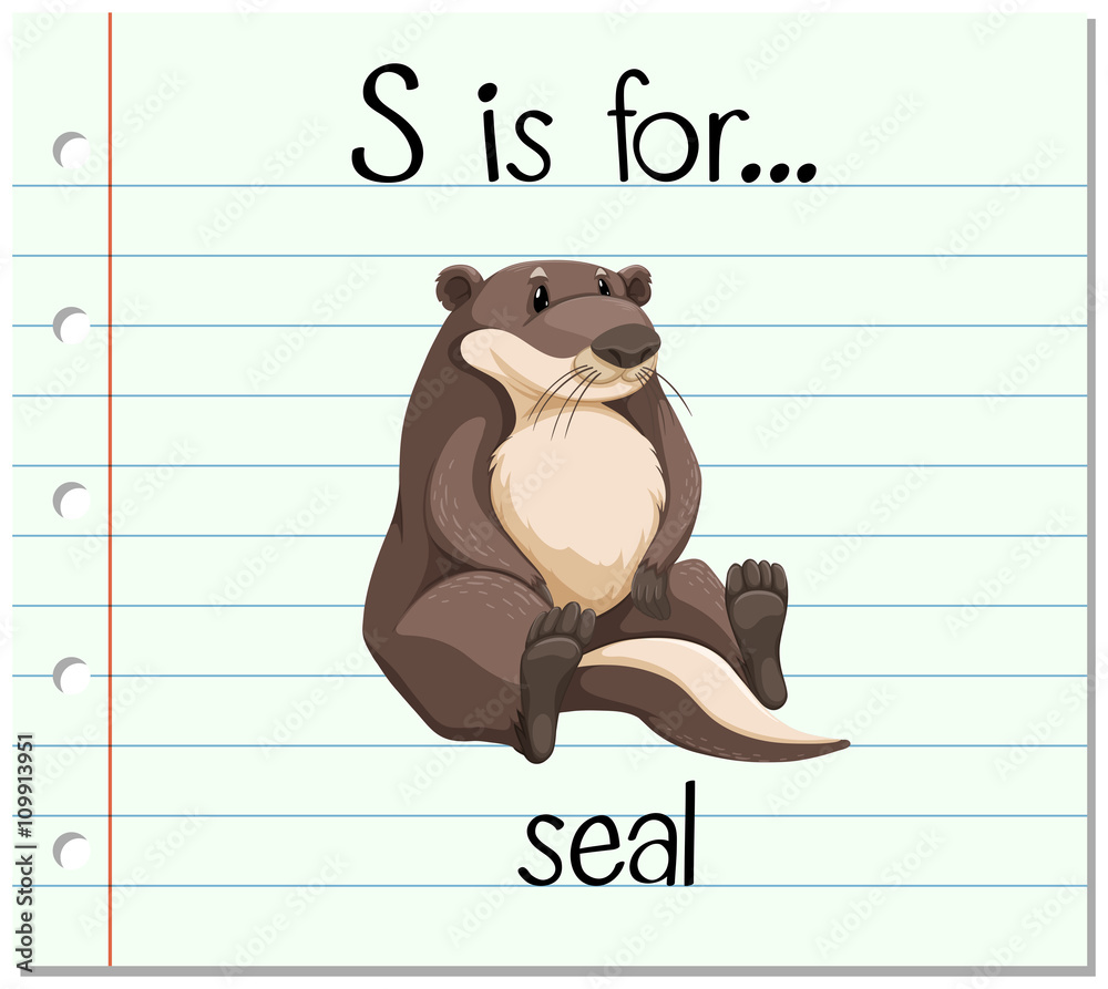 Flashcard letter S is for seal Stock Vector | Adobe Stock