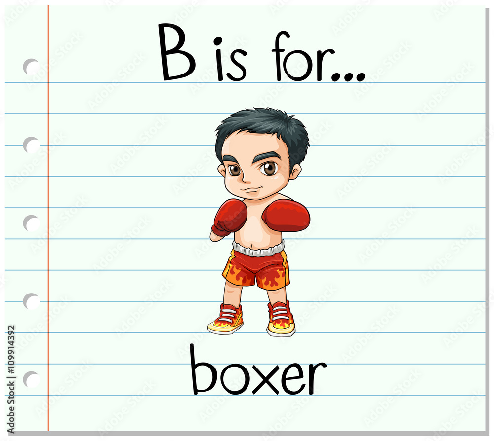 Flashcard letter B is for boxer Stock Vector | Adobe Stock