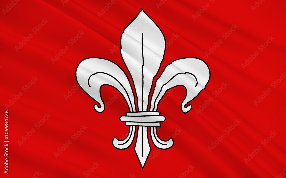 Flag of Lille, France Photos | Adobe Stock