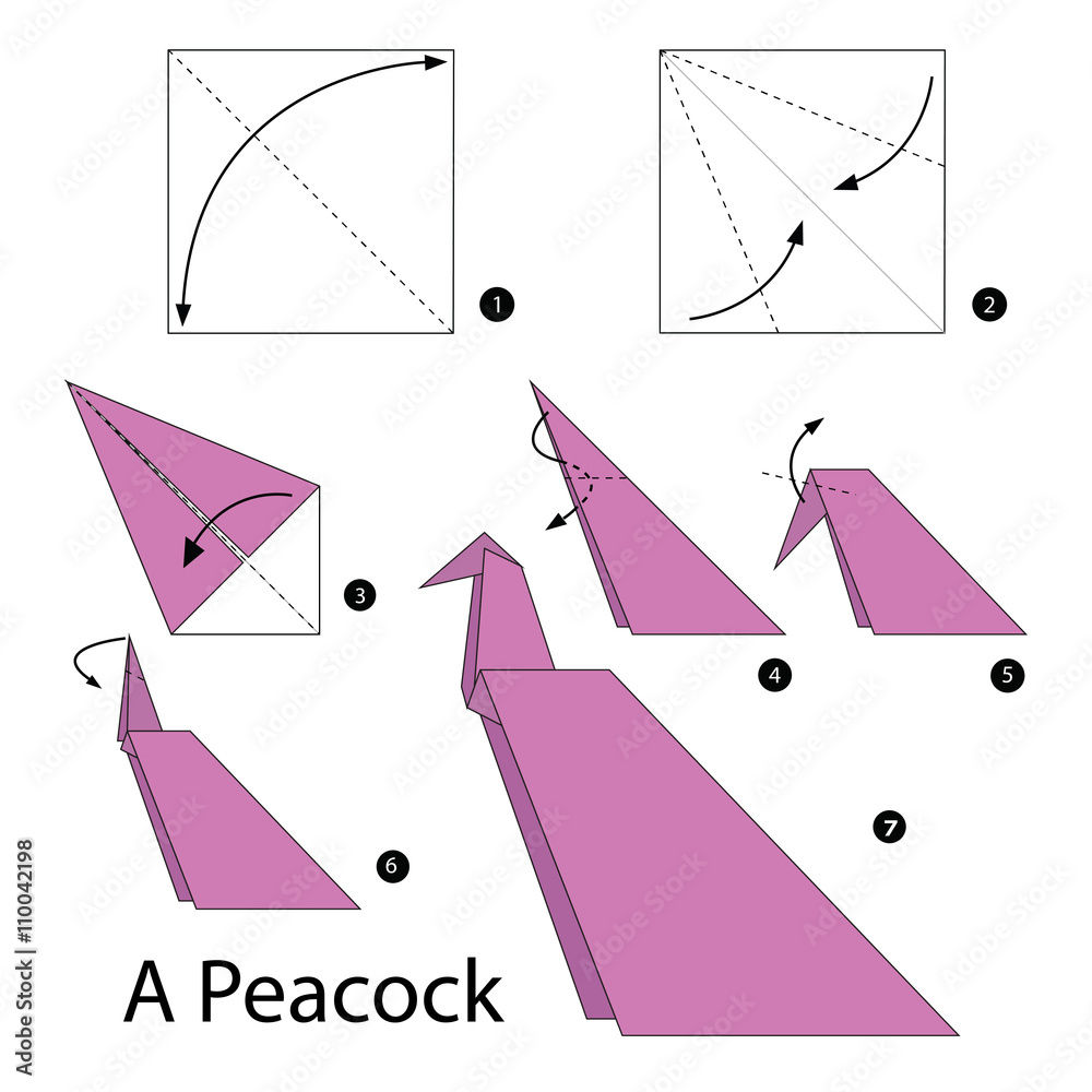 Step by step instructions how to make origami A Peacock. Stock Vector ...
