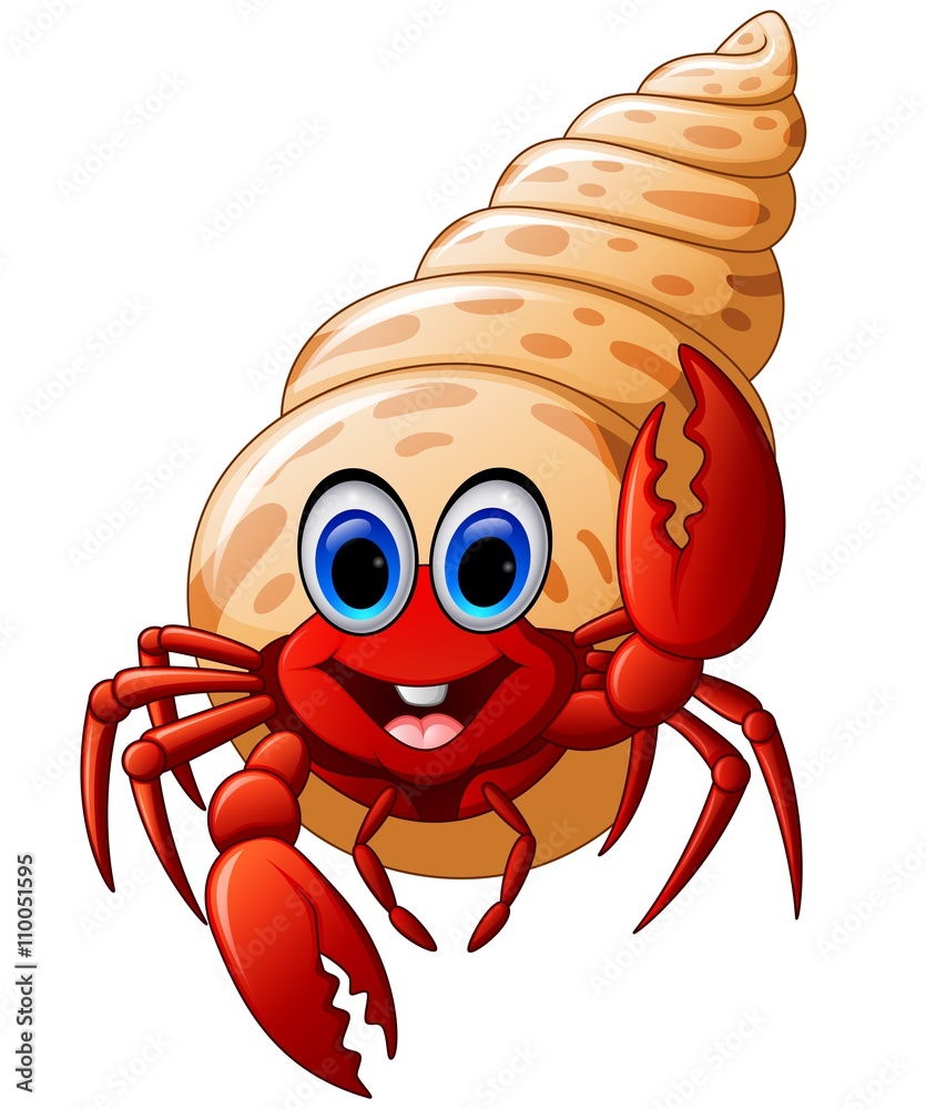 Cartoon hermit crab Stock Vector | Adobe Stock