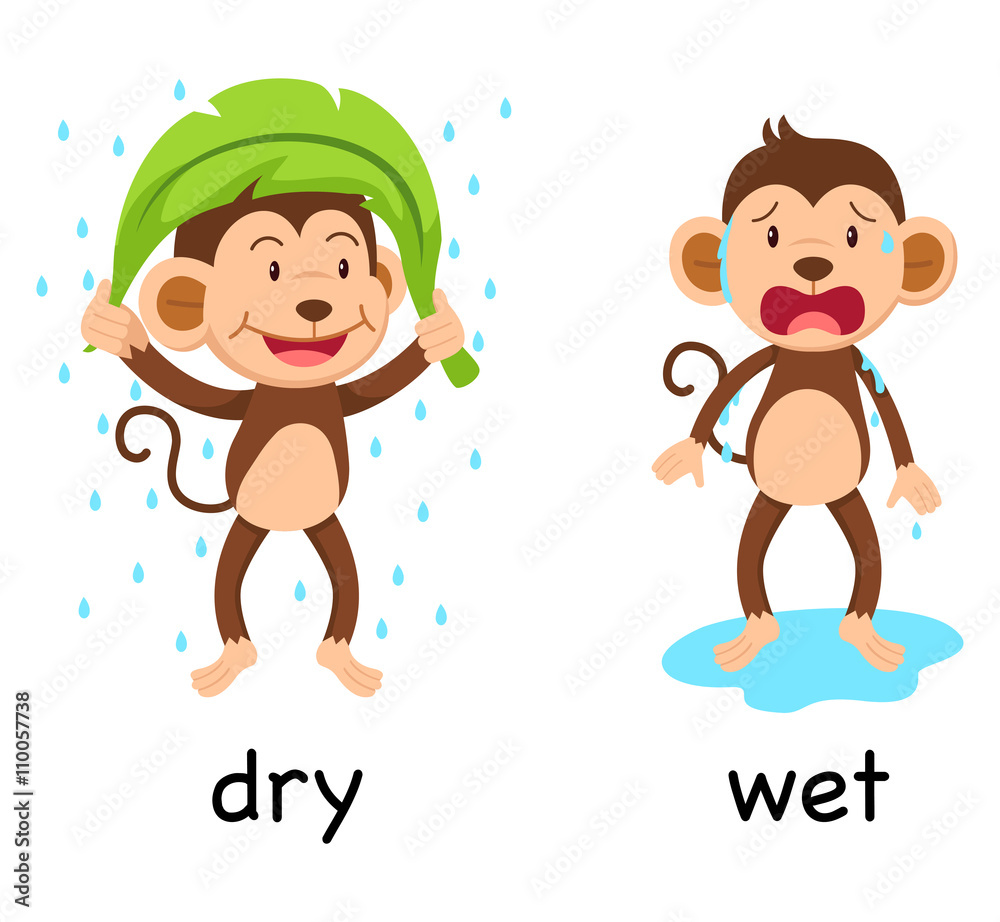 Opposite words dry and wet Stock Vector | Adobe Stock