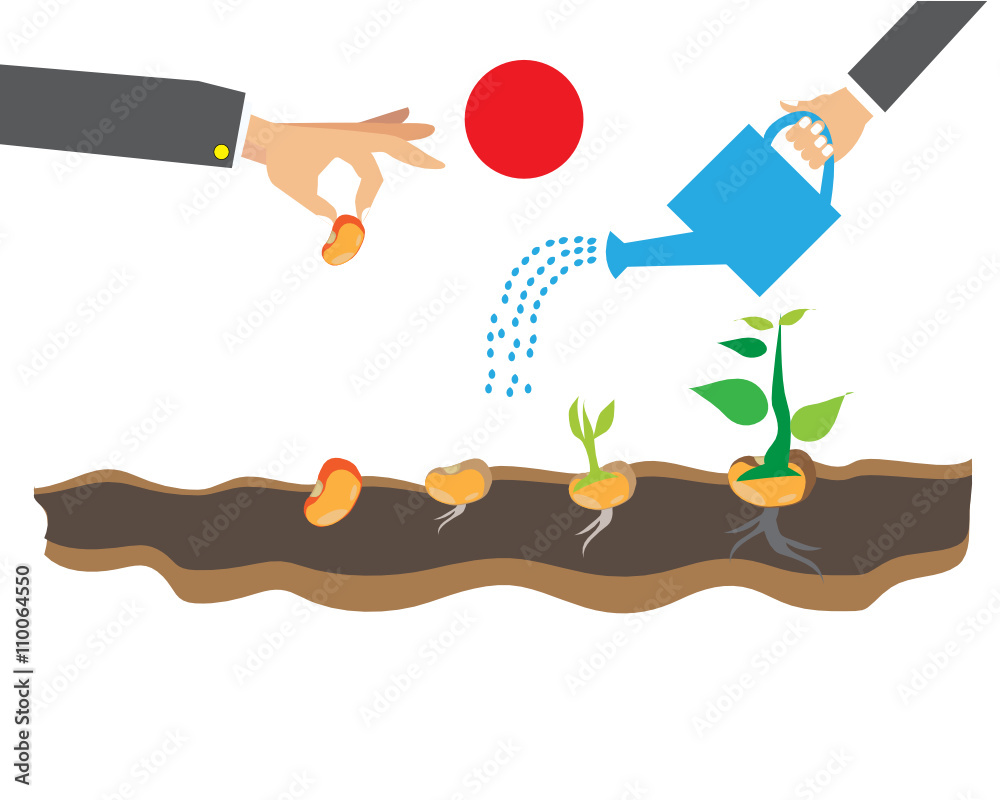 stages of growth of plant and seed to tree Stock Vector | Adobe Stock