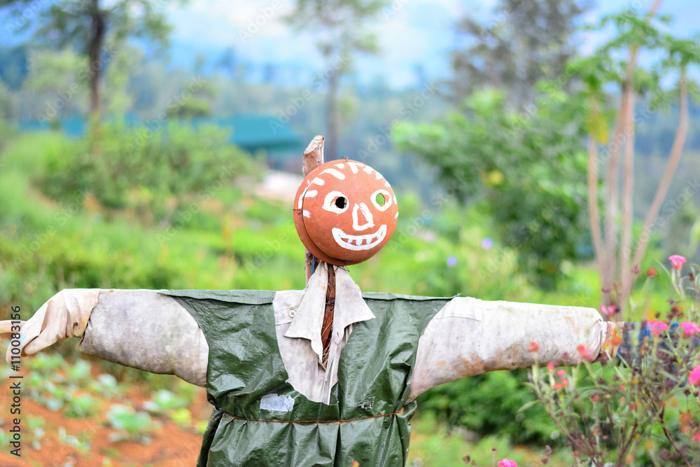 Scarecrow In A Vegetable Garden In Sri Lanka. Scarecrow Is A Decoy In ...