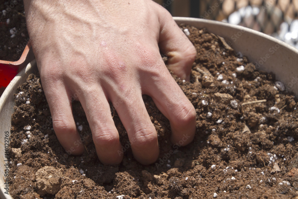 Fingers Digging Into Rich Potting Soil Stock Photo | Adobe Stock