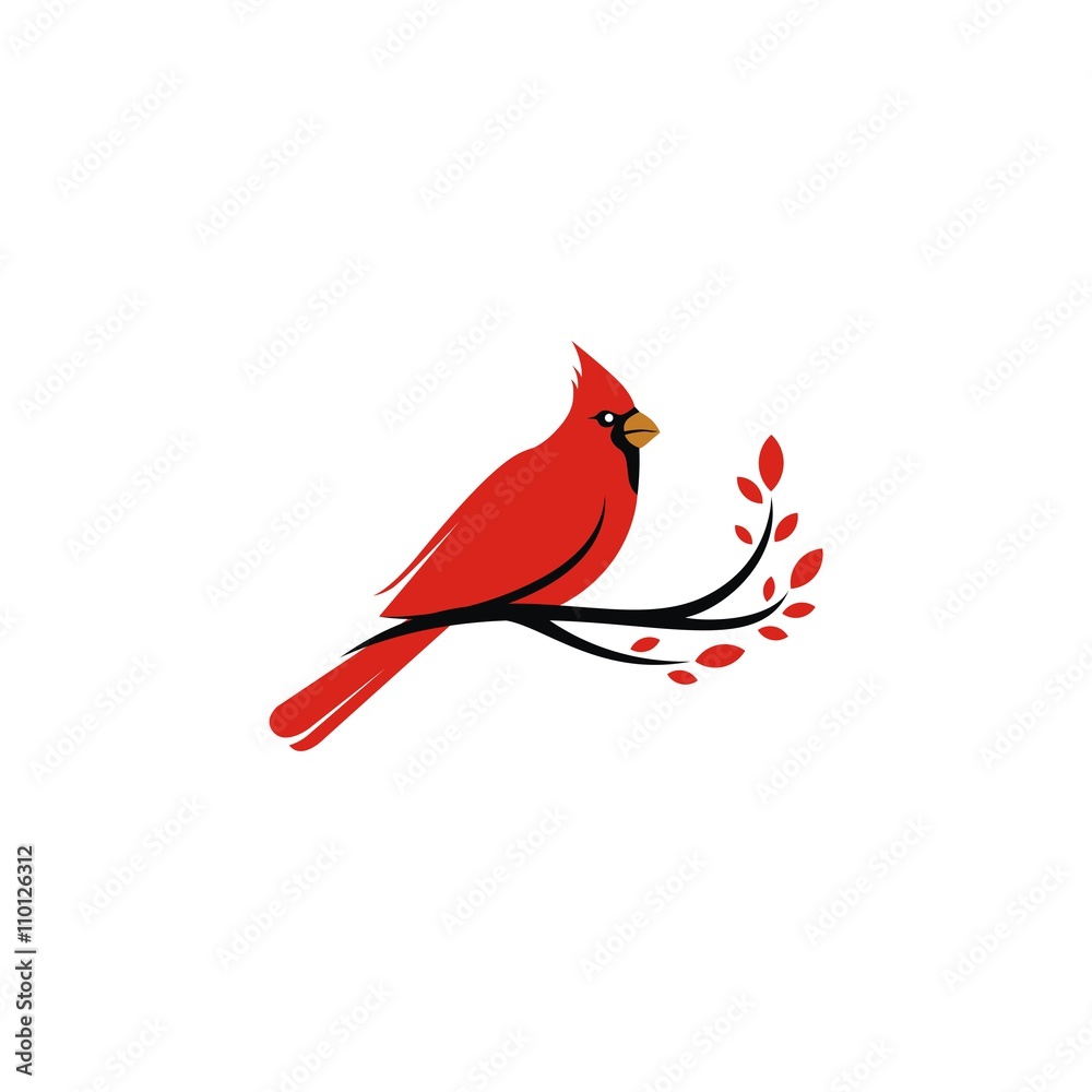 Cardinal Bird Vector