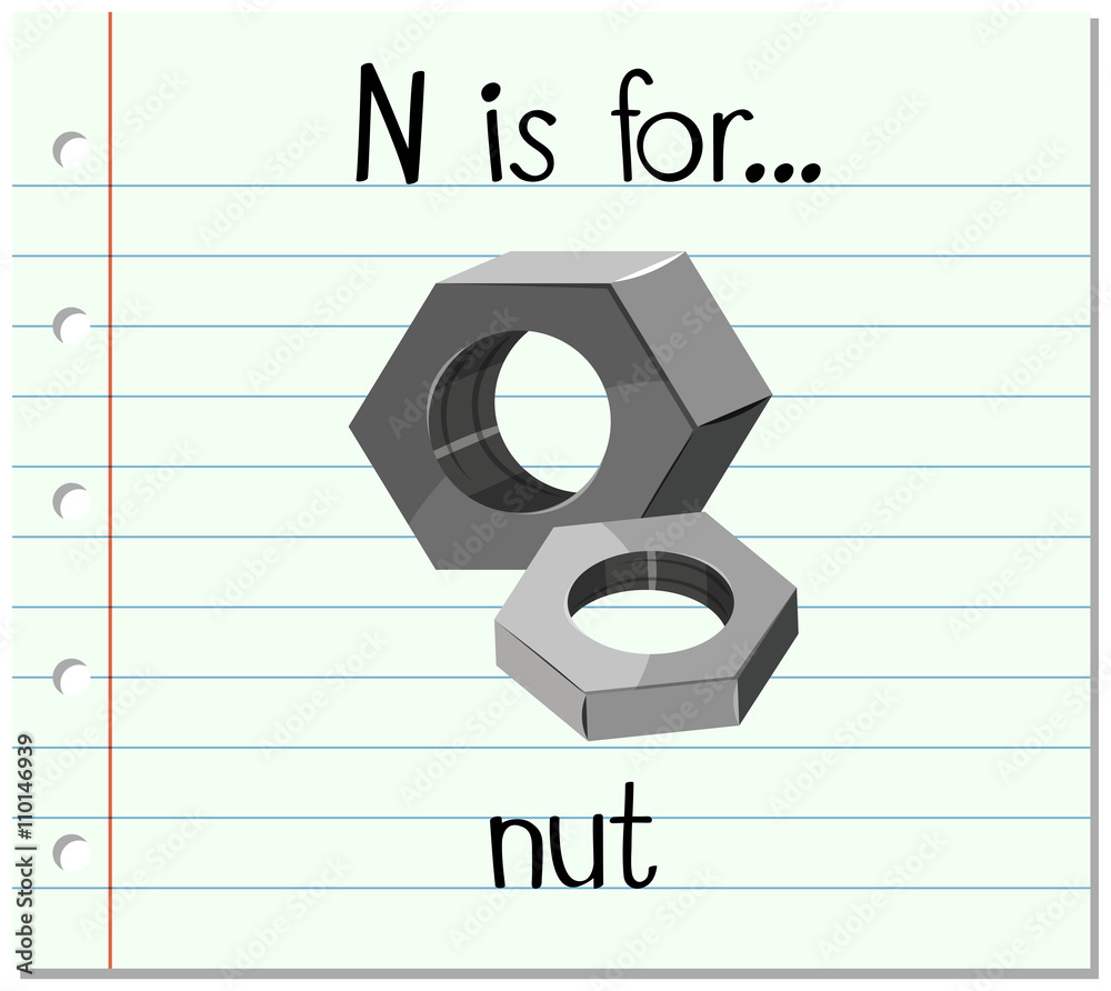 Flashcard letter N is for nut vector de Stock | Adobe Stock