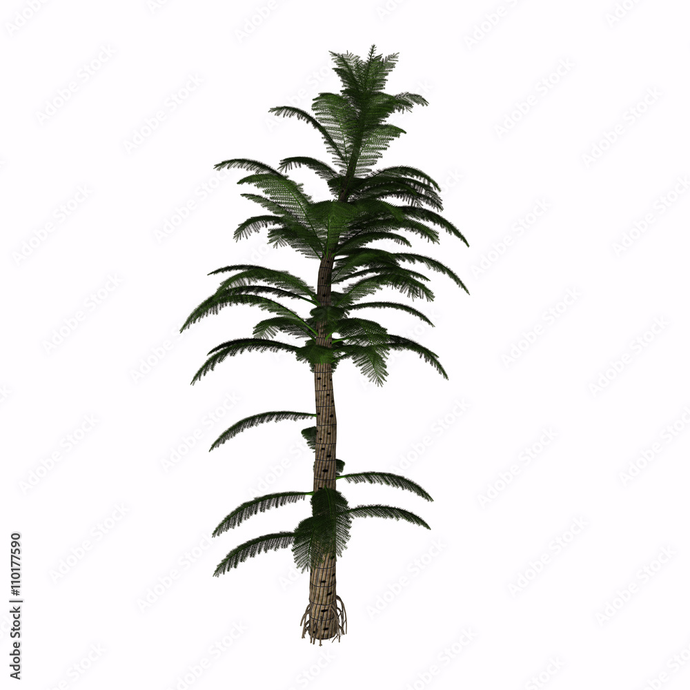 Calamitea striata Tree - Calamites are a type of horsetail plant that ...
