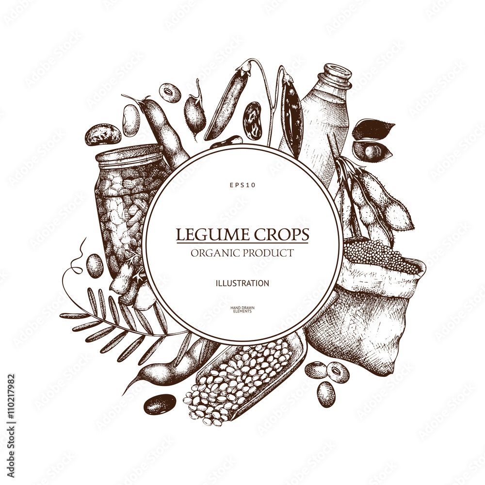 Vector design with ink hand drawn legume crops sketches. Vintage ...