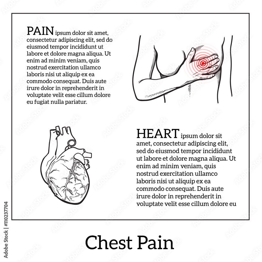 Information about heart pain, chest pain in women, anatomical image of ...