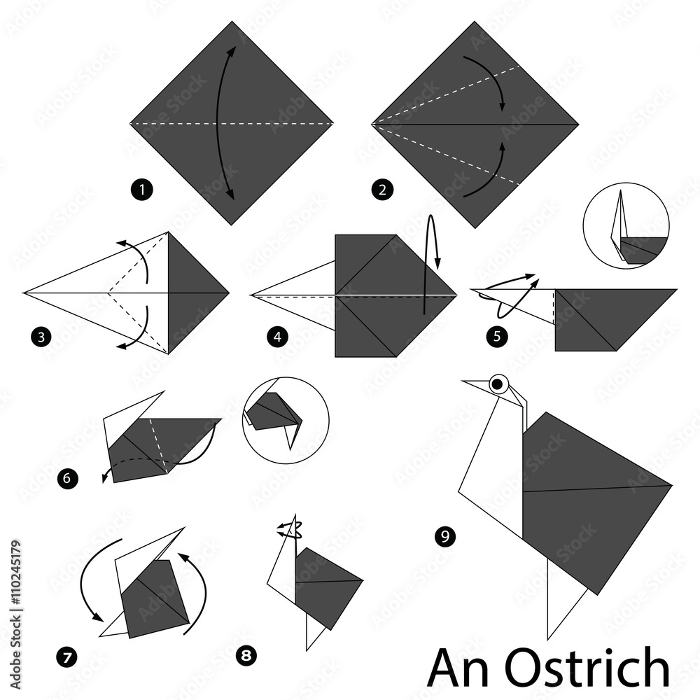 Step by step instructions how to make origami An Ostrich. Stock Vector ...