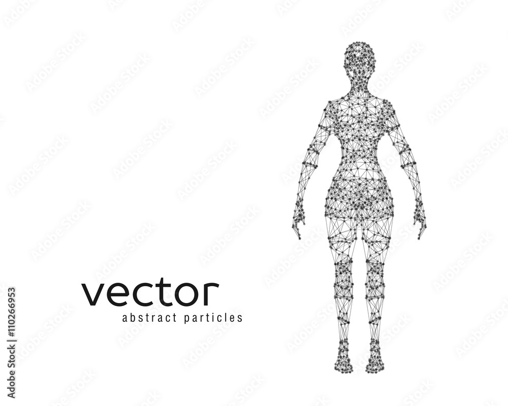 Vector illustration of female body Stock Vector | Adobe Stock