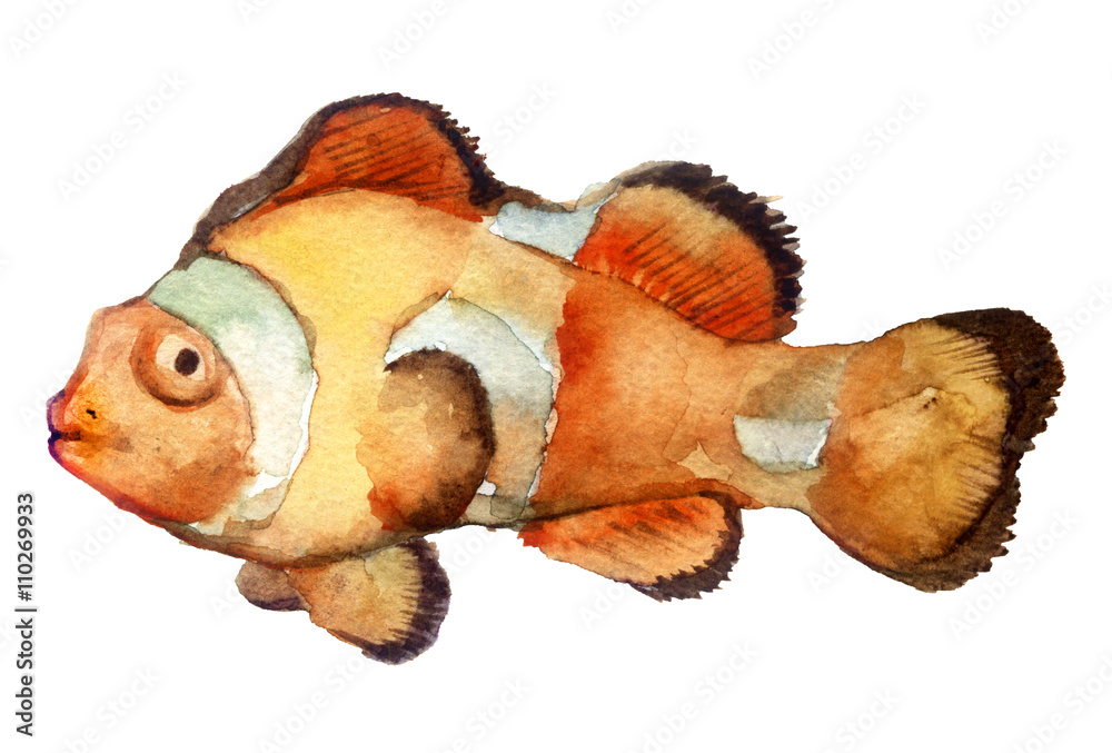 watercolor sketch: a fish on a white background Stock Illustration ...