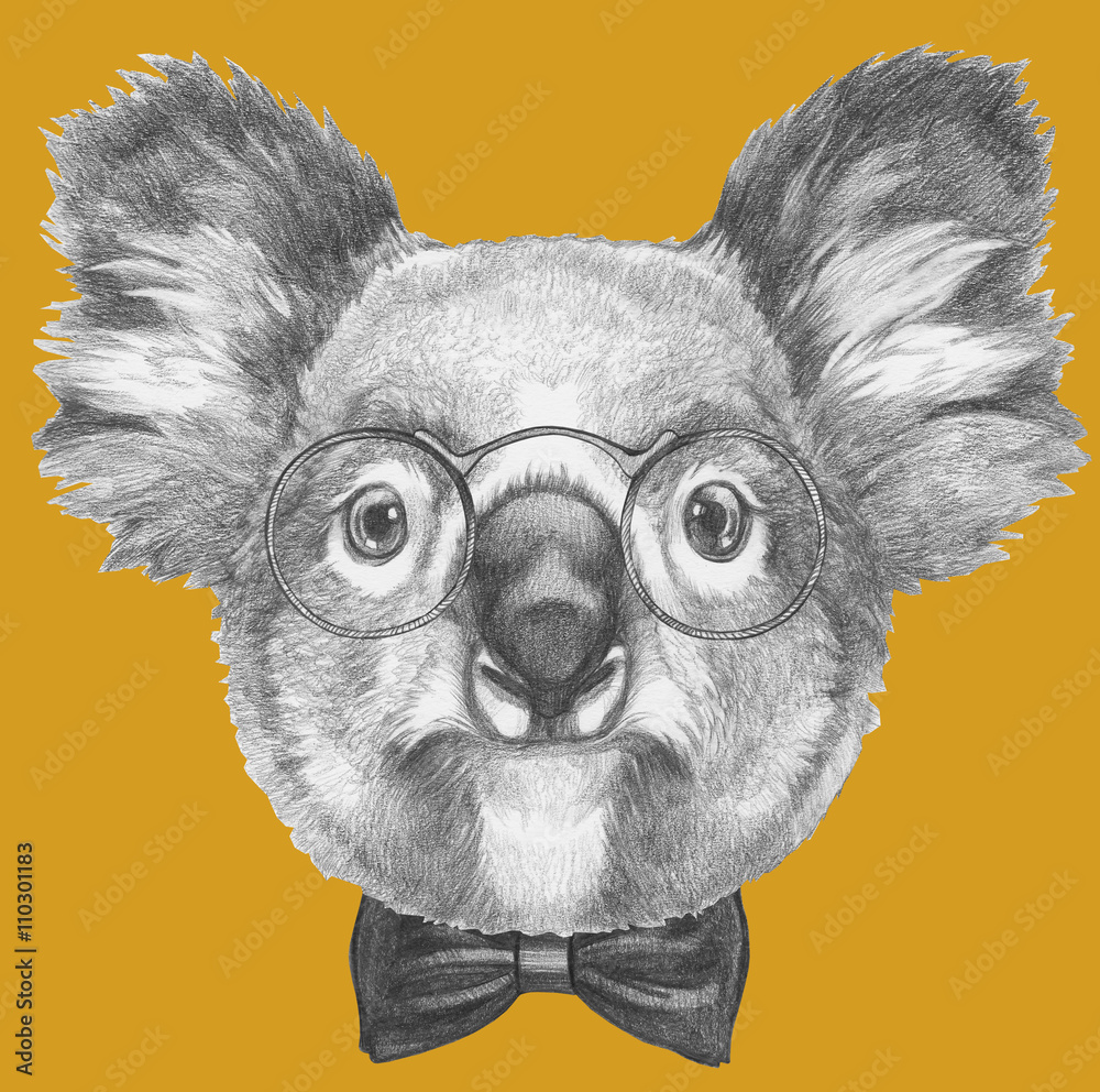 Original drawing of Koala with glasses and bow tie. Isolated on colored ...