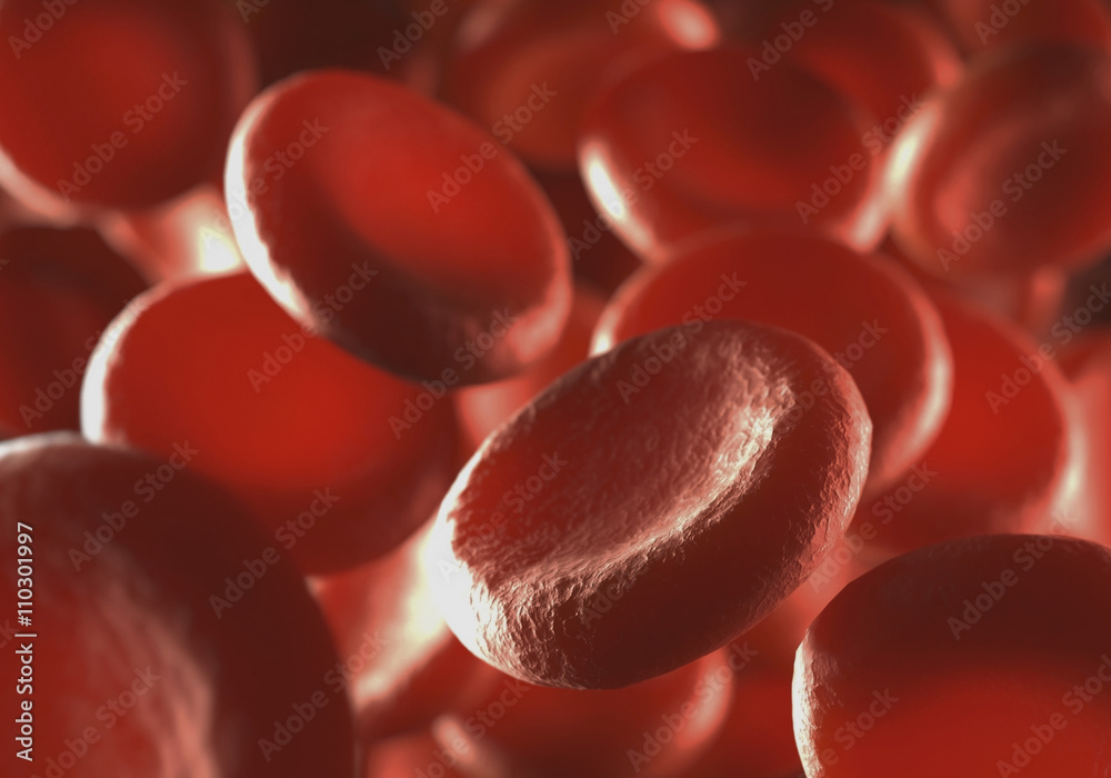 Red blood cells, illustration Stock Photo | Adobe Stock