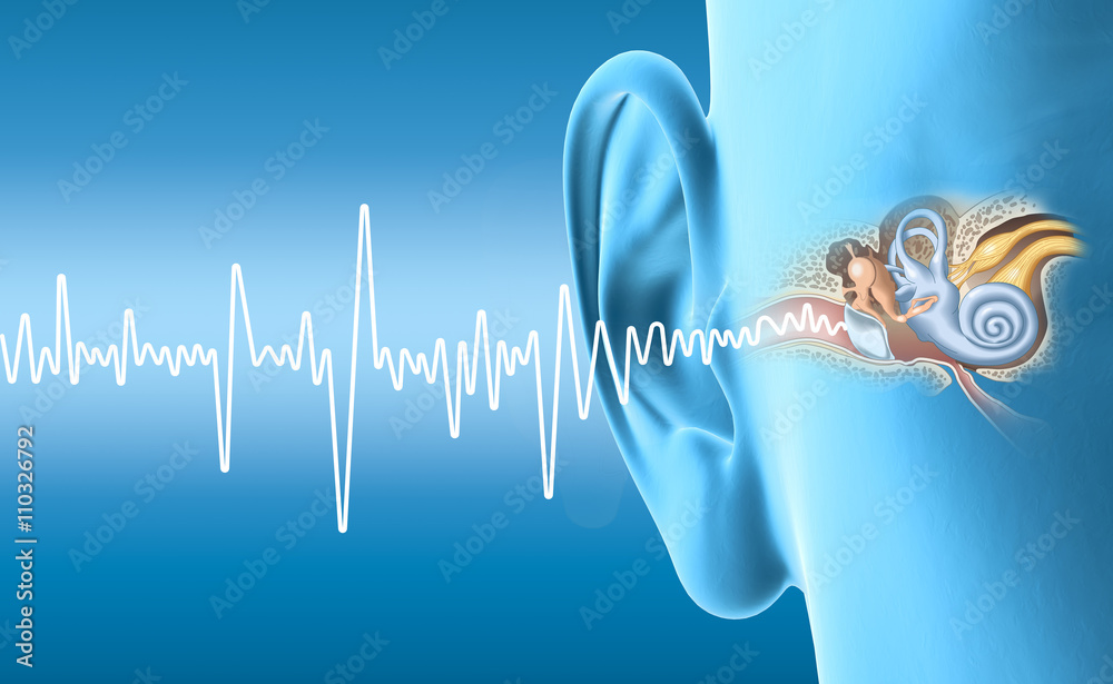 Human ear anatomy with sound wave, medically accurate 3D illustration ...