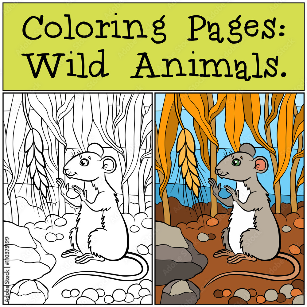 Coloring Pages: Wild Animals. Little cute mouse looks at the whe Stock ...