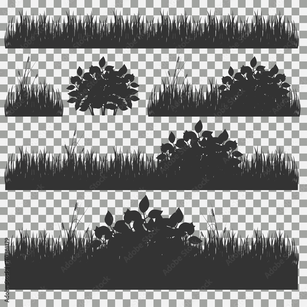 grass, shrubs. A set of various types of grass. Set of grass on a ...