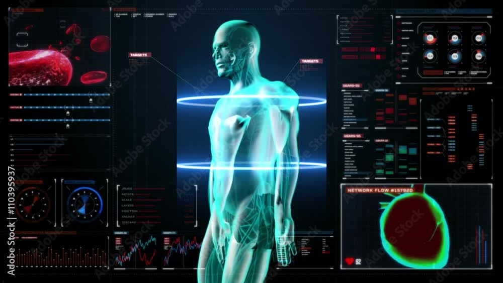 Zooming rotating body and scanning heart. Human cardiovascular system ...