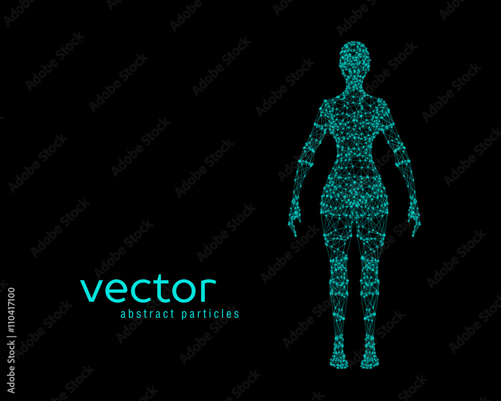 Vector illustration of female body Stock Vector | Adobe Stock