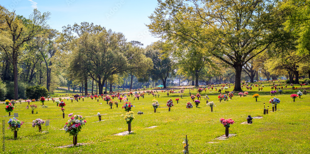 Endless Field of Flower Dedications at Cemetery: Picture of a seemingly ...