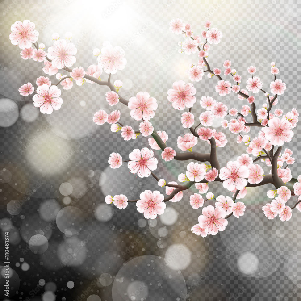 Vetor de Beautiful template sakura flowers. EPS 10 do Stock | Adobe Stock