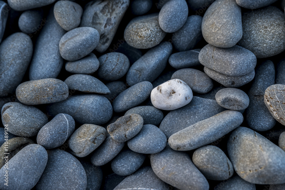 Sea pebble / sea stones background, with a single white pebble isolated ...
