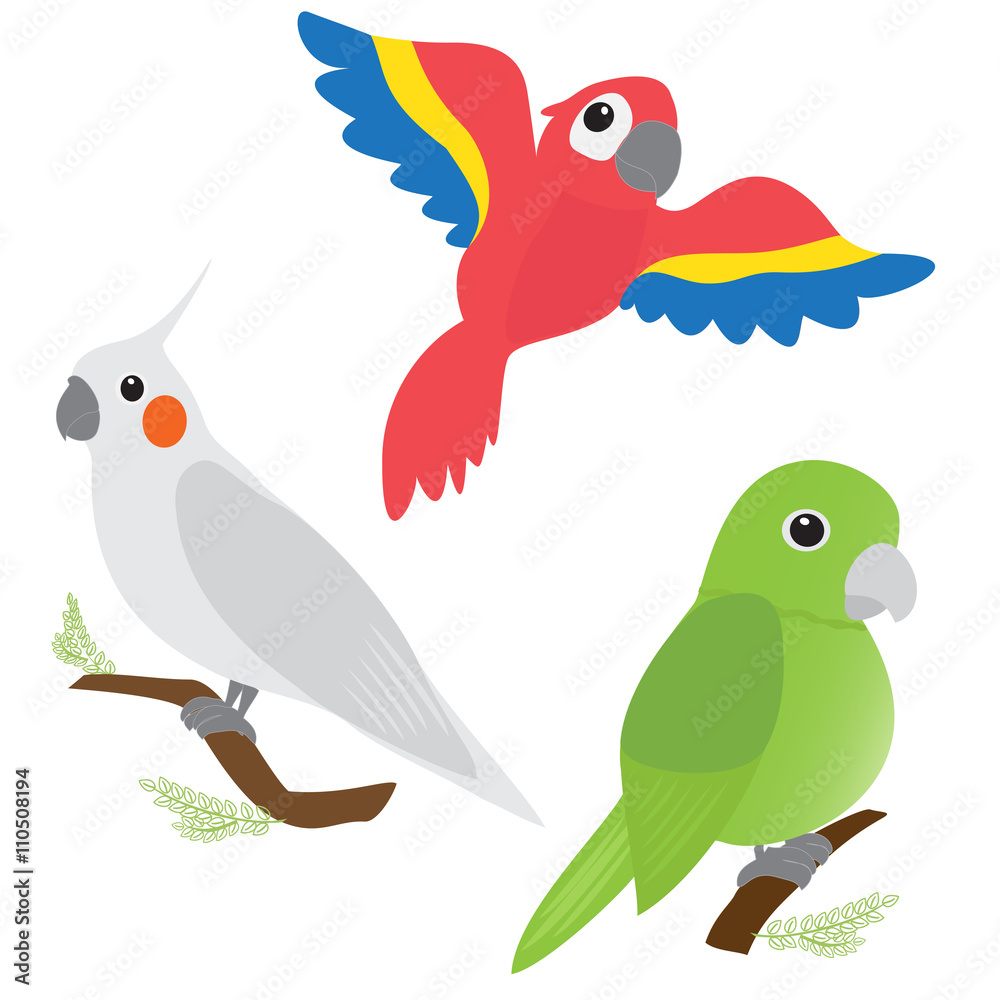 Set of cartoon parrots Stock Vector | Adobe Stock