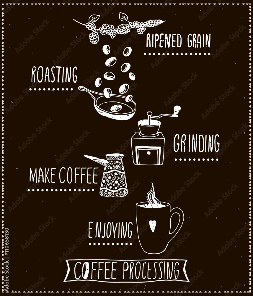 Coffee processing illustration. Coffee concept. Make coffee. Stage of ...