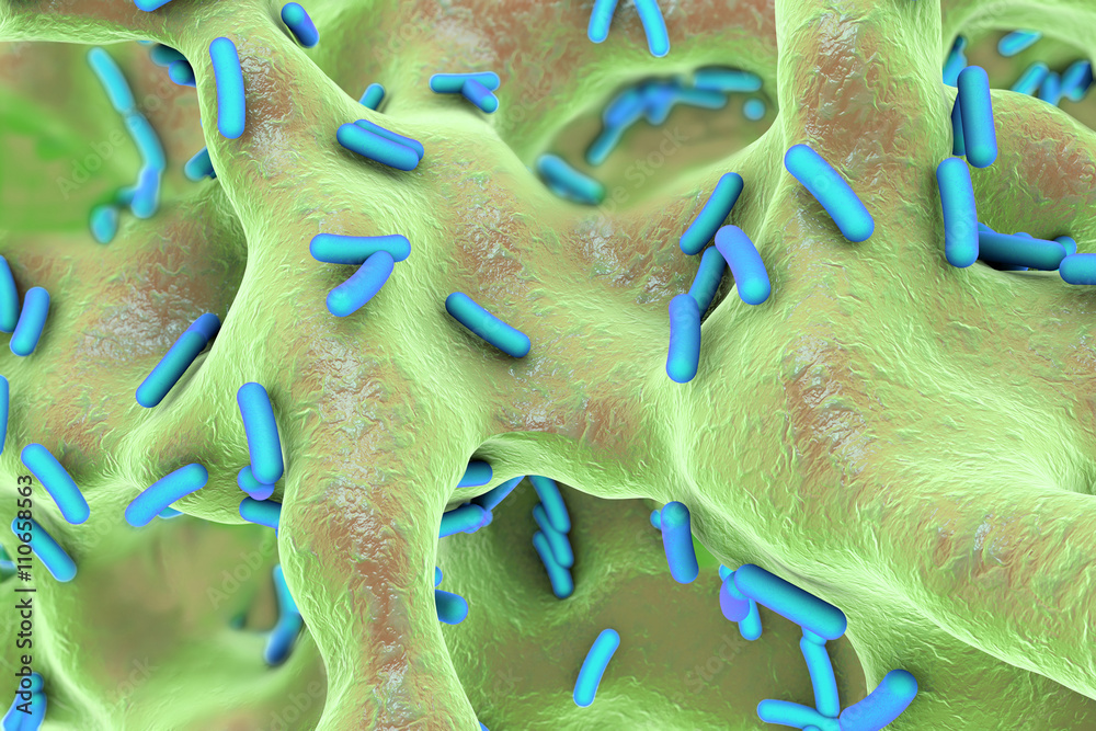 Bacteria inside human body. Rod-shaped bacteria inside bone tissue ...