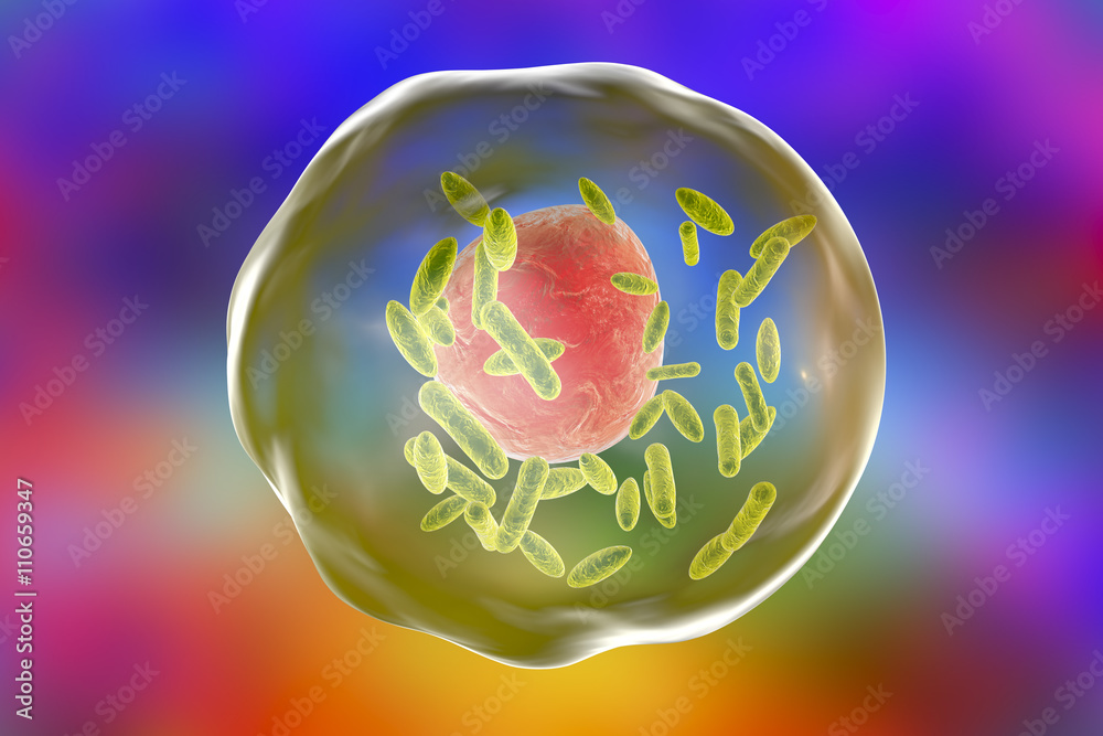 Bacteria Coxiella burnetii (small green) inside human cell, 3D ...
