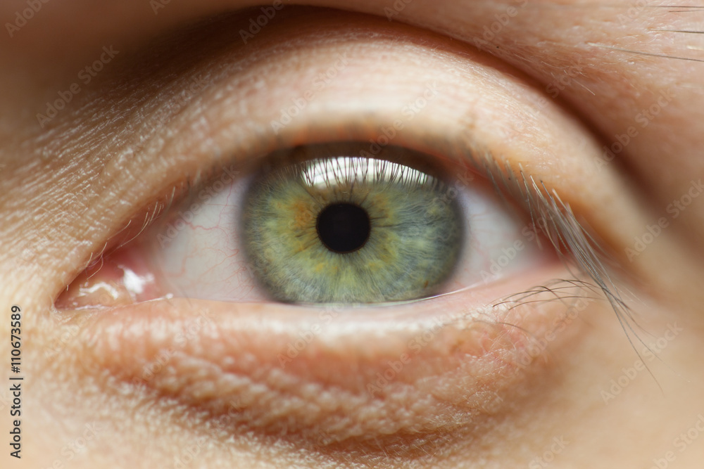 Light Green Eyes Man