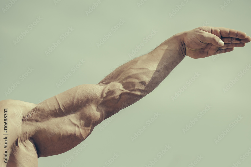 Strong arm of male bodybuilder Stock Photo | Adobe Stock