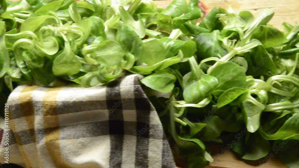 Video Stock Valerianella locusta Corn salad Valeriana Lamb's lettuce ...