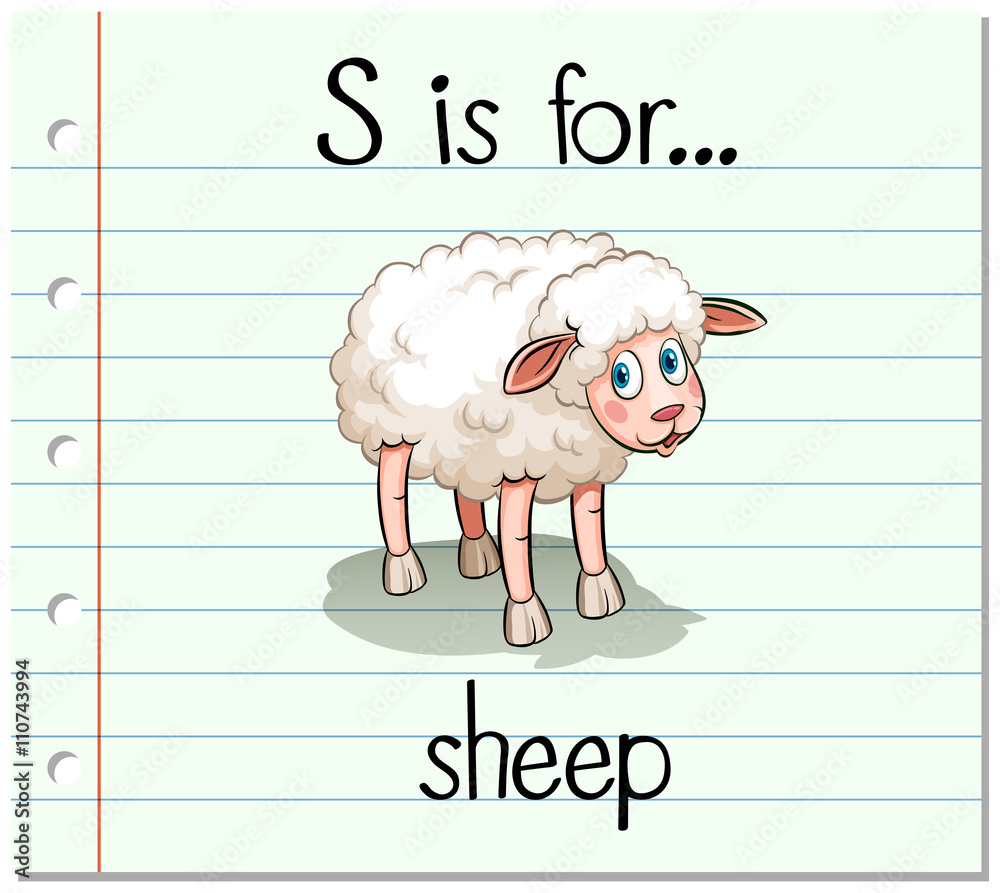 Flashcard letter S is for sheep Stock Vector | Adobe Stock